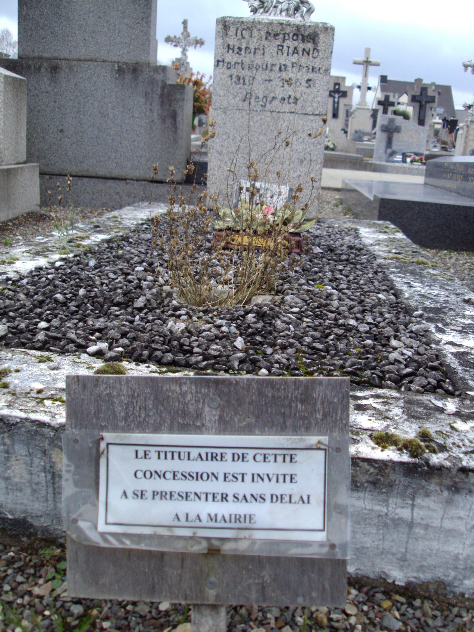 3 questions à Isabelle Cardin — Le Souvenir Français